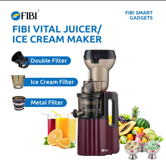 FIBI VITAL JUICER / ICE CREAM MAKER - Fibi Smart Gadgets Nigeria